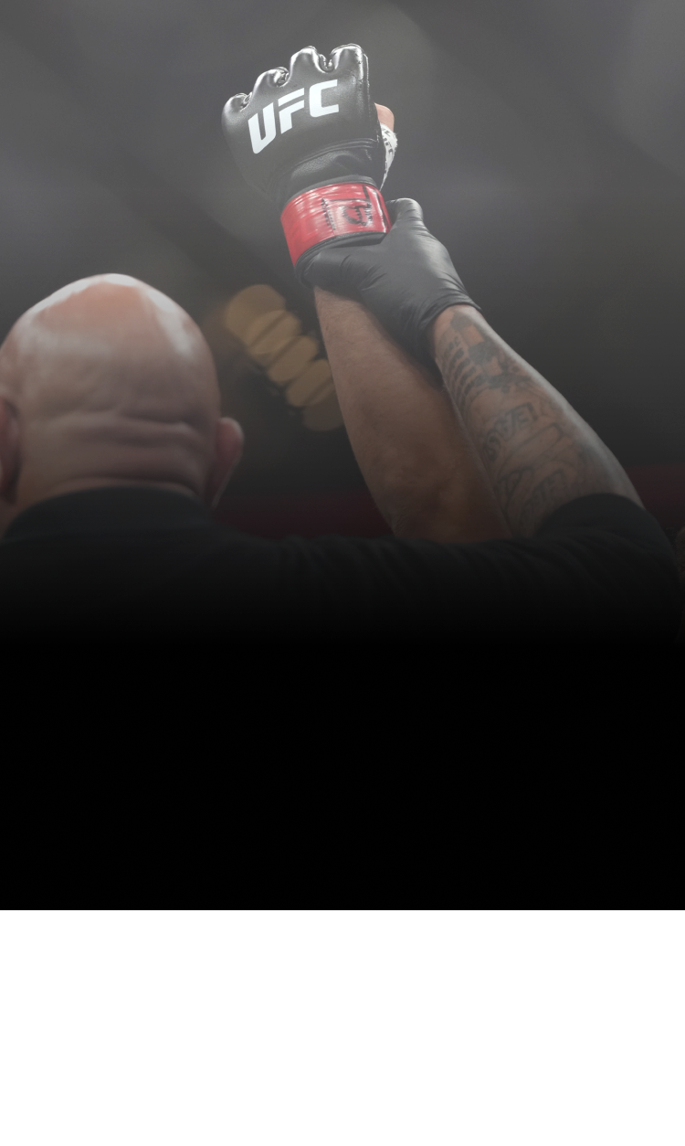 FIGHTID